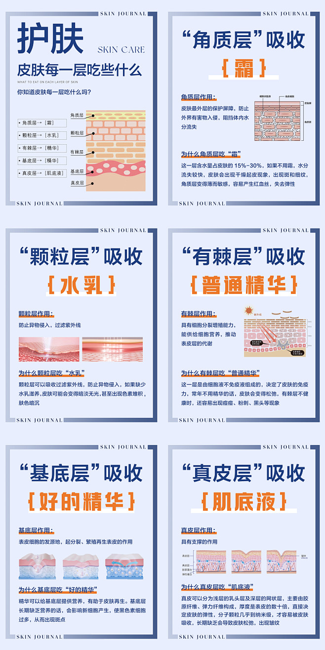 护肤科普系列海报-志设网-zs9.com
