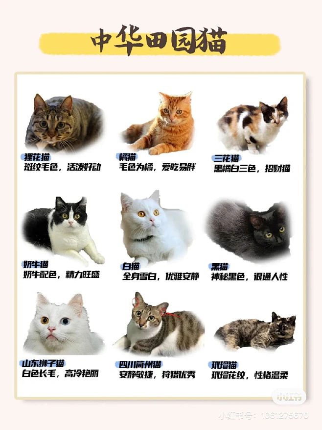 IMG_0292(20230303-155839)-花瓣网