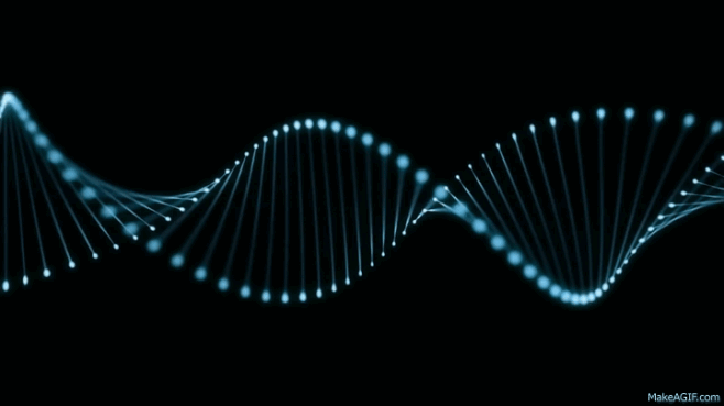 DNA animation on Make a GIF : _premium-花瓣网