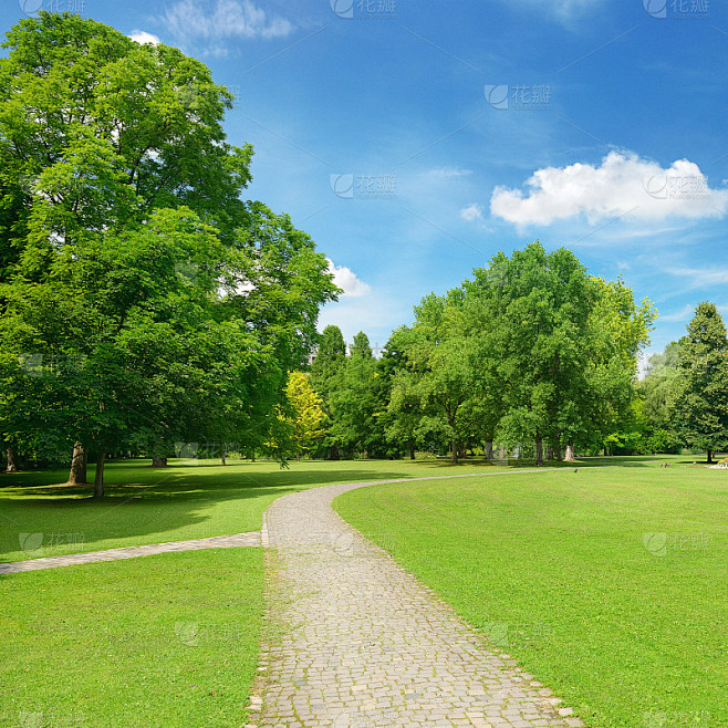 公园里美丽的草地素材-花瓣网