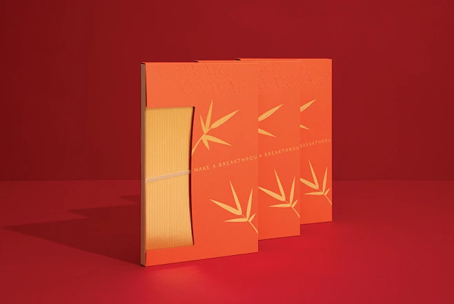 cny gift graphic Packaging festival new year print Red Packet ...