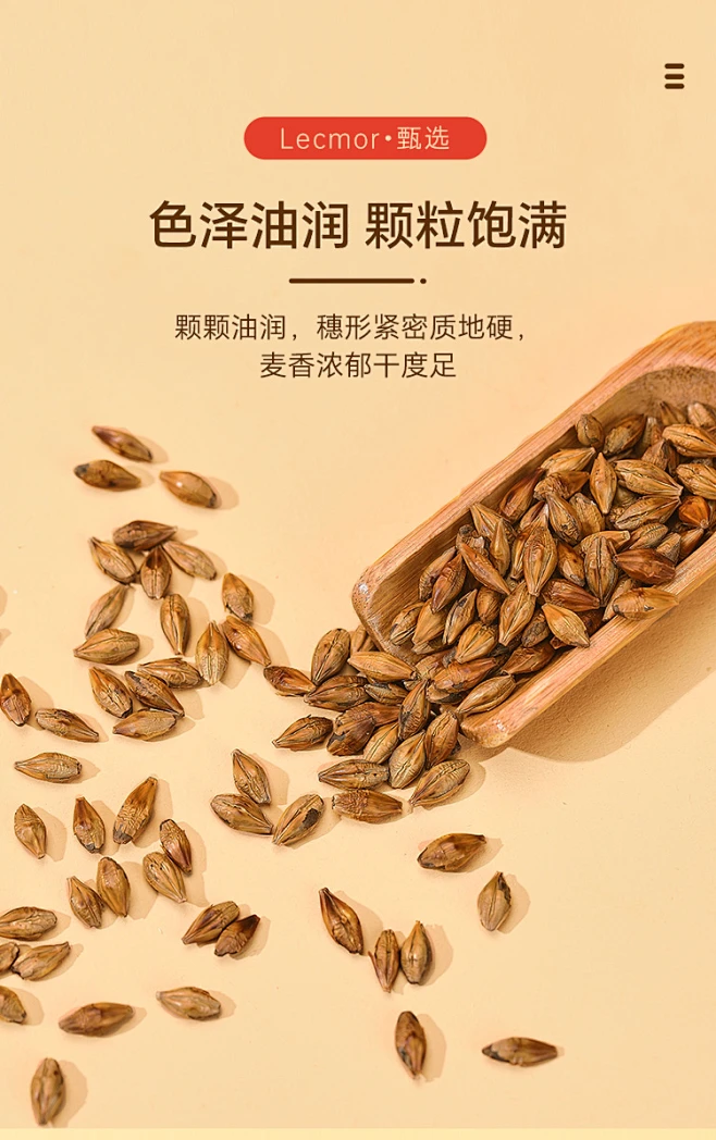 【自营】lecmor大麦茶650g*3荞麦茶正品饭店泡水喝养生茶麦香型-tmall.com天猫-花瓣网