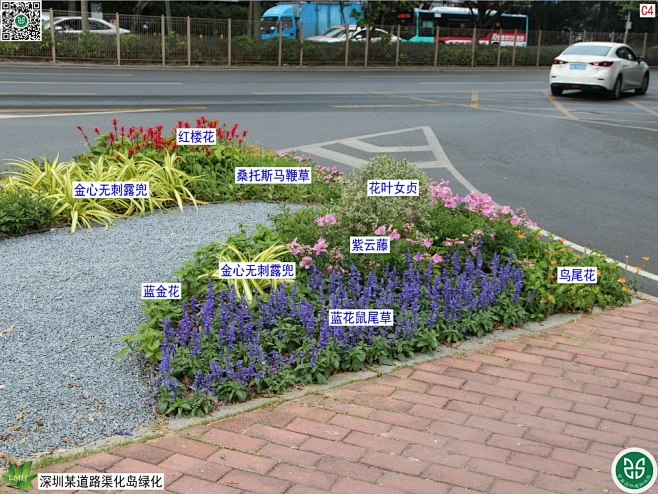 交通岛、道路、花境：深圳道路渠化岛绿化(2022年1月)-花瓣网