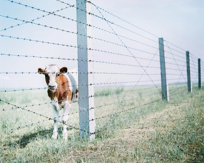 图片_+ 配图 +图片素材-花瓣网