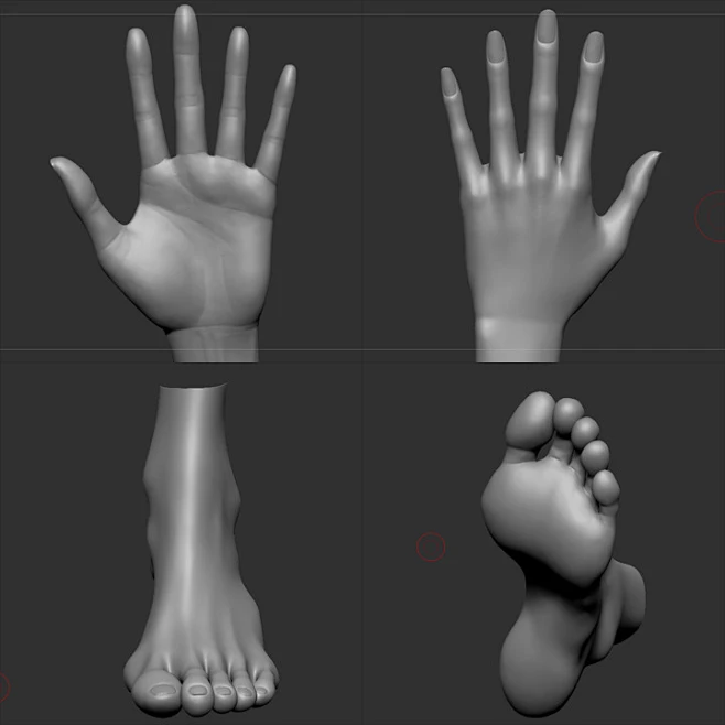 Foot&Hand modeling, Shin JeongHo : This is a Foot&hand modeling for my works of basebody.Thank ...
