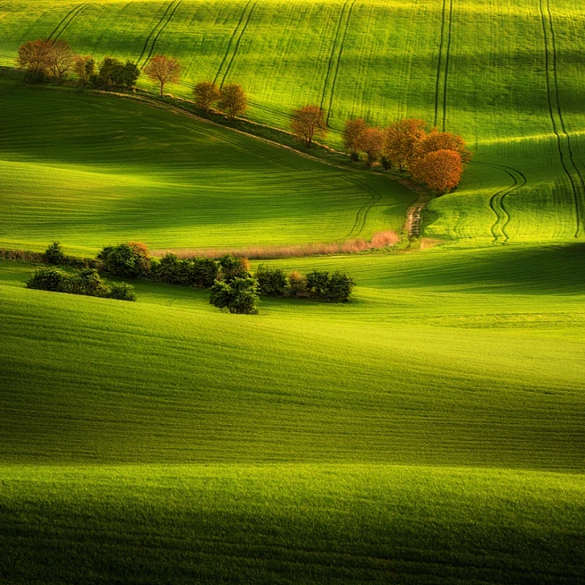 Photograph Green Fields... -花瓣网