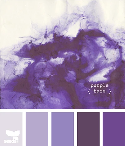 purple haze#颜色搭配# #配色方案#-花瓣网