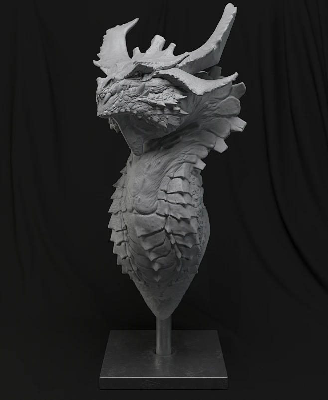 Dragon Bust-花瓣网