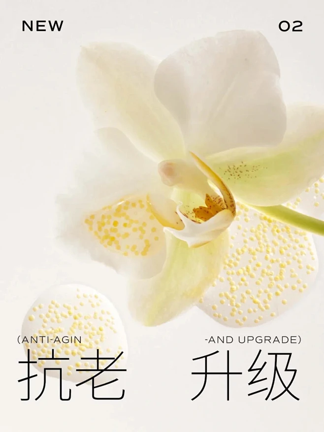 20240624_170243_065-花瓣网