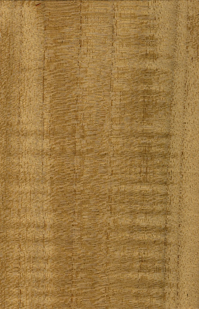 teak_java_color-花瓣网