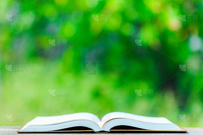 书和绿色模糊背景素材-花瓣网