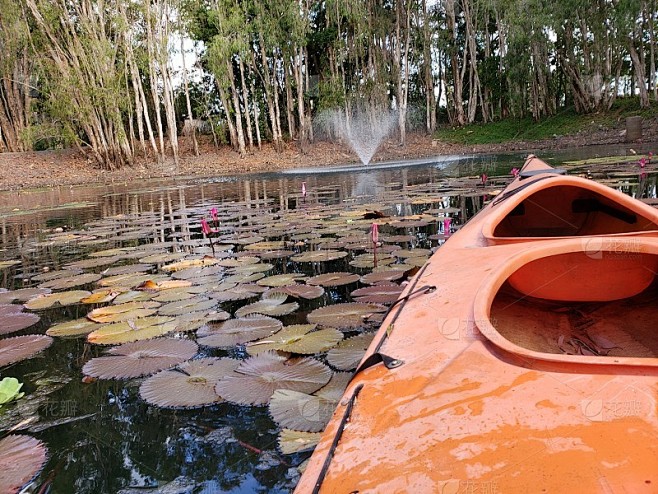 Lilly Pads和paddling