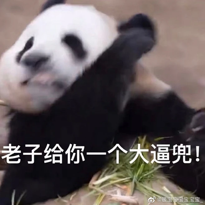 微博搜索-花瓣网