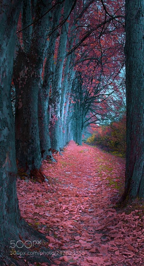 15 Pinterest