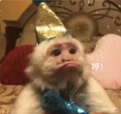 乐子表情包-花瓣网|陪你做生活的设计师 | 小红书 - 你的生活指南