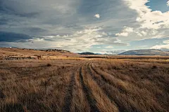 Mahindra BE6E +XEV9E Behance-花瓣网