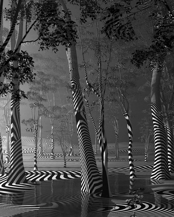 Zebra Forest-花瓣网