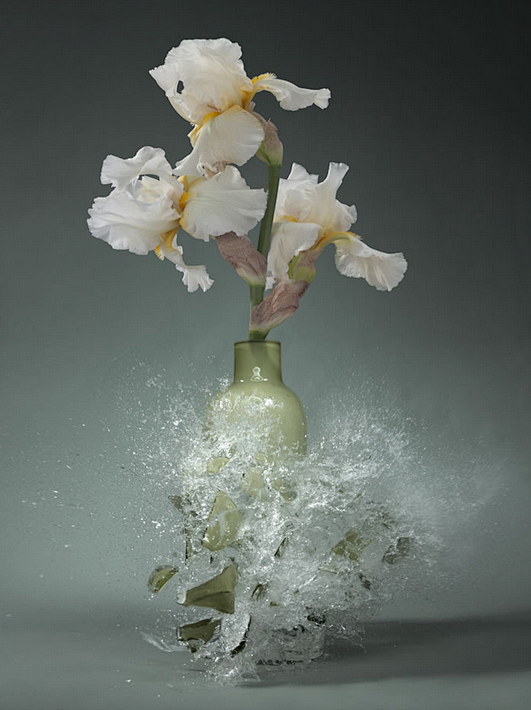 德国摄影师Martin Klimas善于把瞬间变成永恒，他将花瓶从高处坠落，捕捉破碎的瞬间。在创作这些作品时，拍摄环境必须稳定，灯光最好是清晰 ...