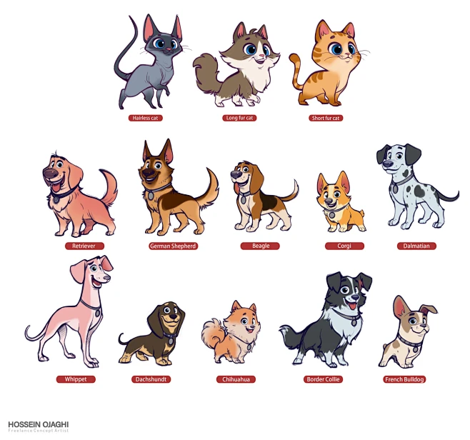 Character Development - Pets-花瓣网