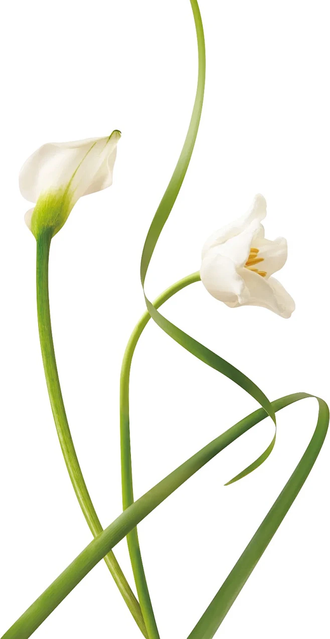 IMG_8992(20230210-183825)-花瓣网