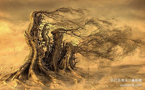 Tomasz Strzalkowski 未来印象-花瓣网