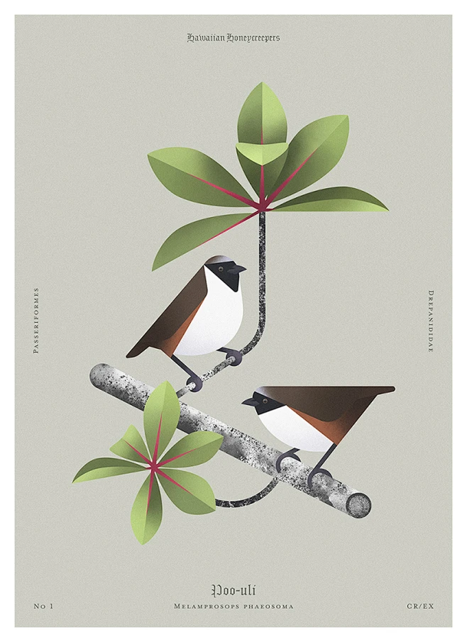 Top Creative Work On Behance : Showcase and discover creative work on the world's leading online ...