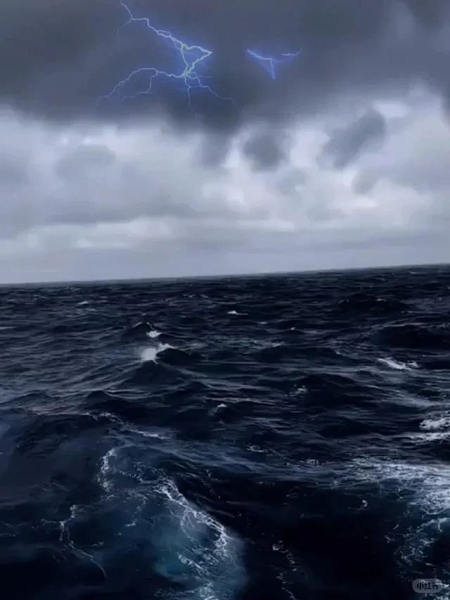 黑海出海 - 小红书搜索-花瓣网