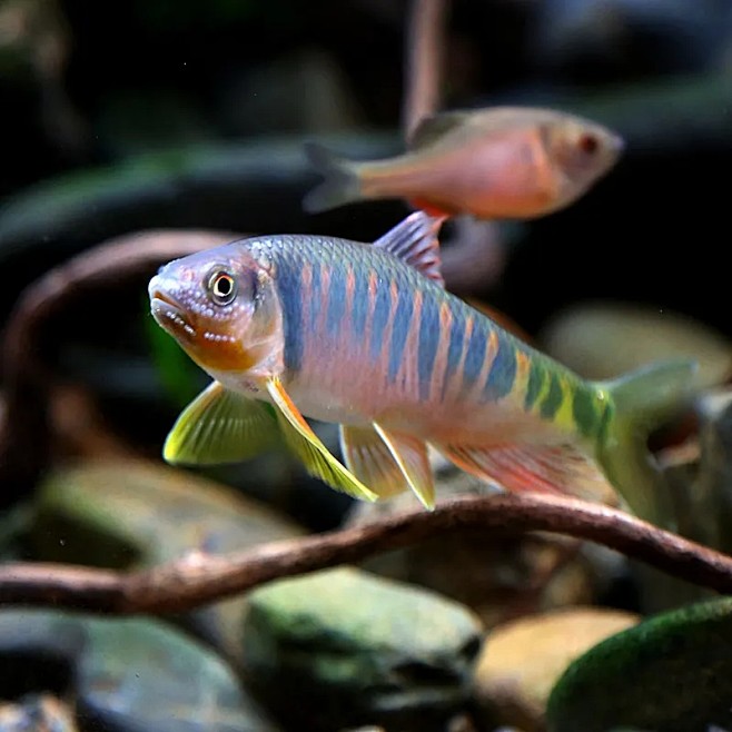 src=http%3A%2F%2Fimg