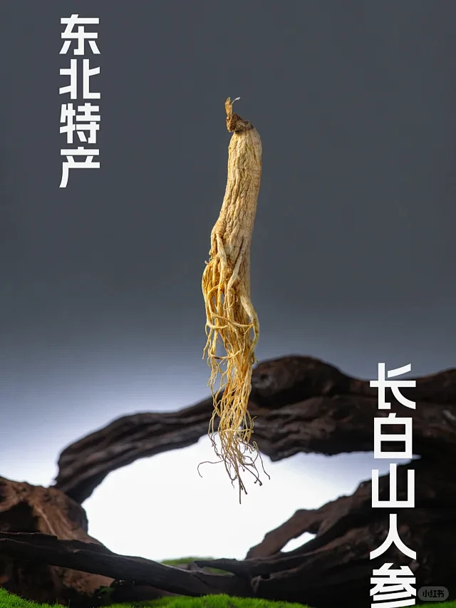 长白山人参 - 小红书搜索-花瓣网