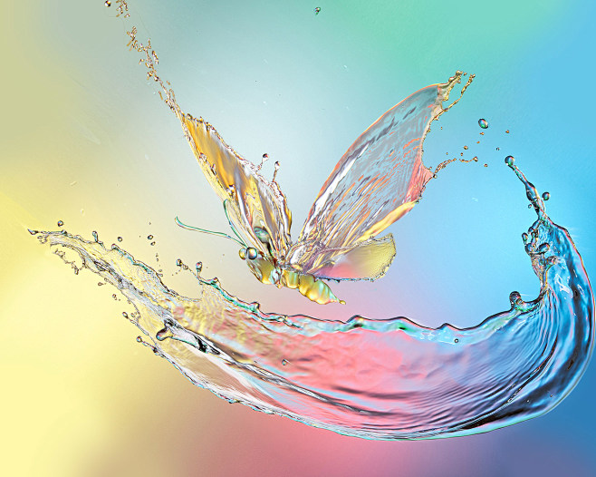 绚烂的水 色彩 蝴蝶