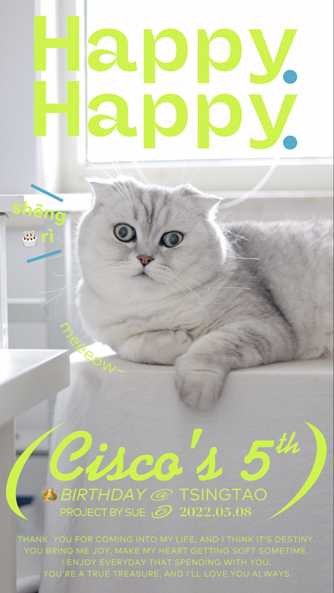 My cat Cisco's birthday pic