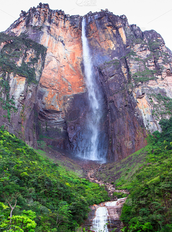 天使瀑布,委内瑞拉,玻利瓦尔省,平顶山,canaima,垂直画幅,水,公园,瀑布,夏天