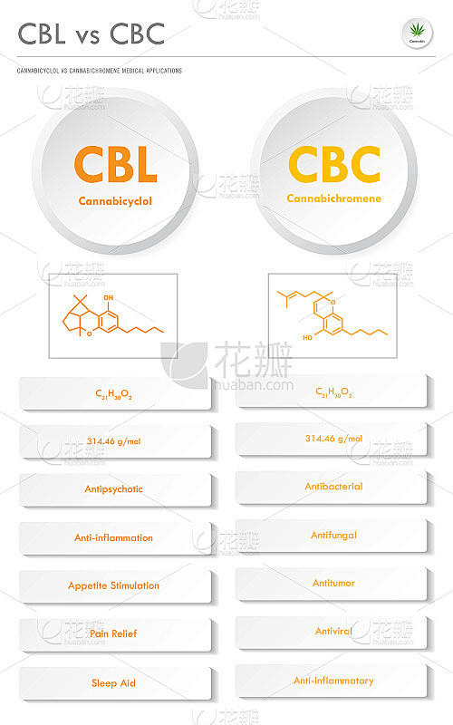CBL vs CBC, cannabyclol vs Cannabichromene垂直商业信息图