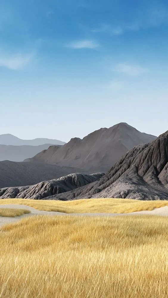 (22) Pinterest-花瓣网