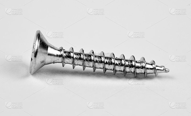Close-up Screw