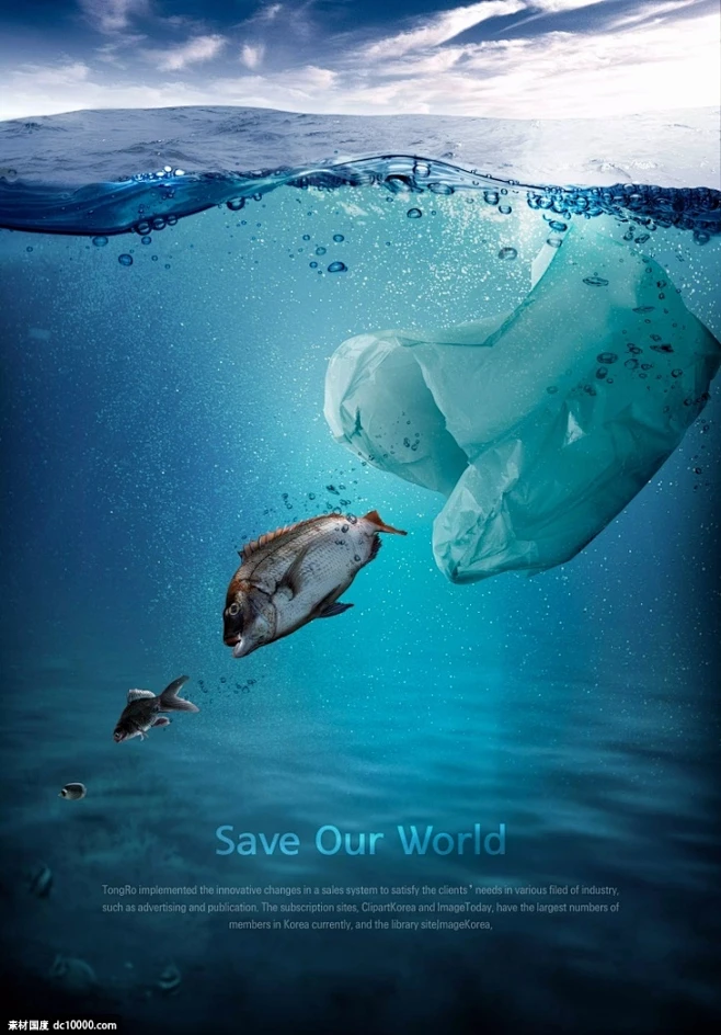 时尚高端保护海洋环境公益广告海报设计模板-花瓣网