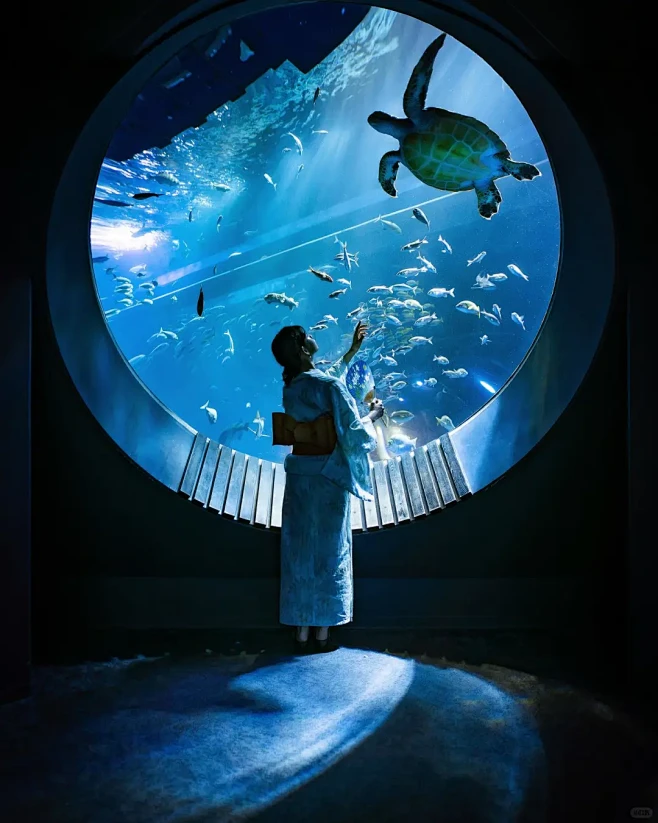 Koichi JAPAN-花瓣网