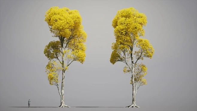 UE5 Tree test-花瓣网