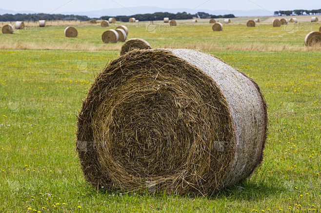 Hay-Bail