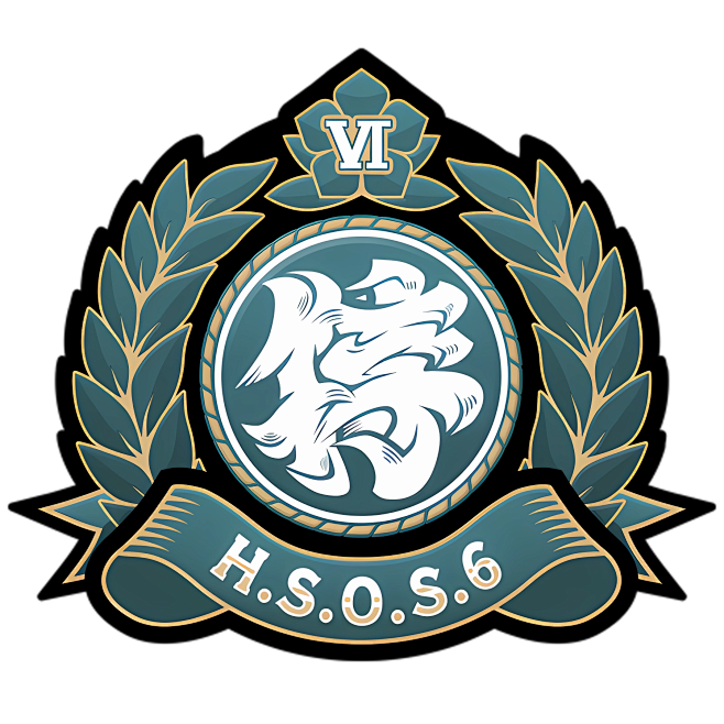 H.S.O.S.6