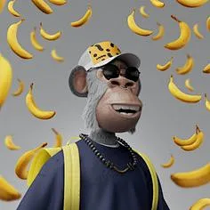 其中包括图片：HAPE PRIME NFT-花瓣网