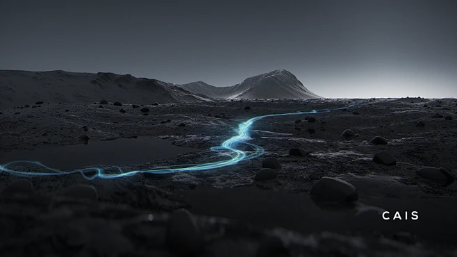 CAIS Brand Images : Hires prints for CAIS group-花瓣网