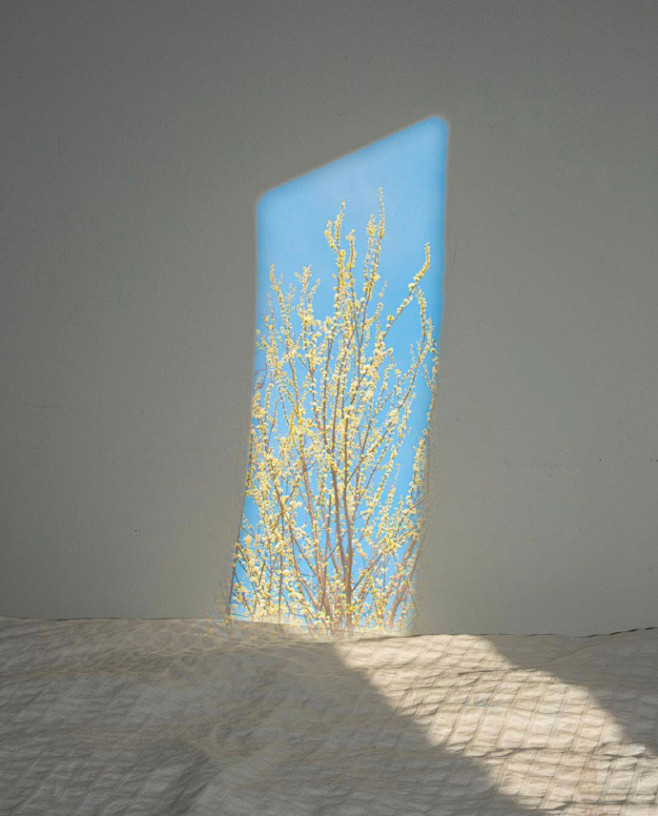 . KangHee Kim -花瓣网