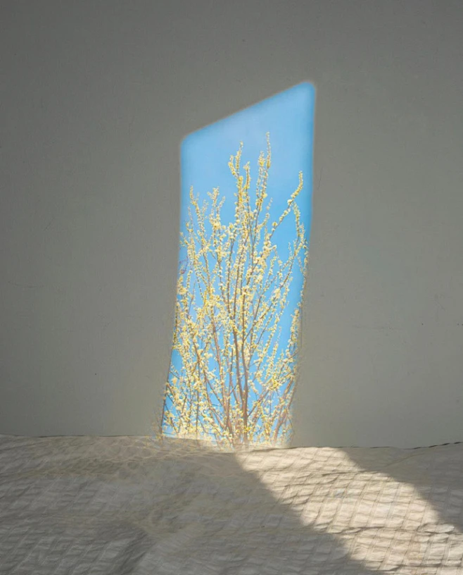 . KangHee Kim 图片_室内场景图片素材-花瓣网