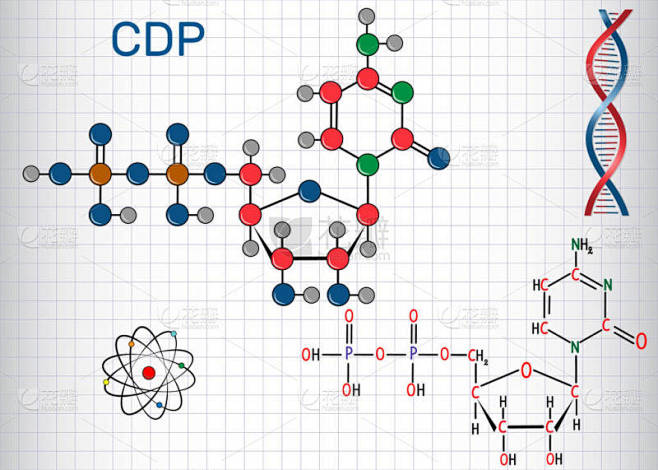 二磷酸胞苷 Cdp 分子, 它是核苷分子。结构化学式和分子模型。笼子里的纸