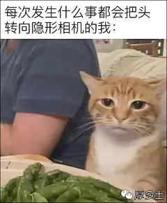 meme（梗图）图片大全-meme（梗图）高清好看的图片--花瓣超级无敌窝窝头的画板