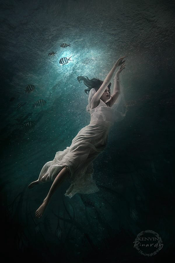 水下唯美摄影来自cgbook.cn (992)