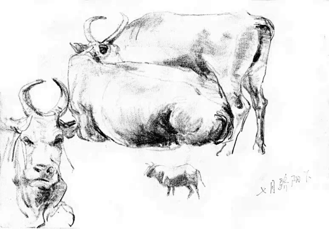 src=http%3A%2F%2Fp4.itc.cn%2Fq_70%2Fimages03%2F20210213 ...