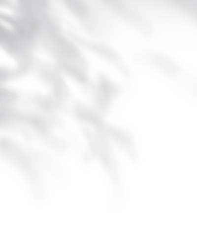 【米图网-52mitu.com】植物 投影 光影 透明png中国风国潮山水祥云底部海报装饰元素-花瓣网