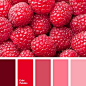 a pink, bloody, brown, burgundy, color combination for spring, color of ...